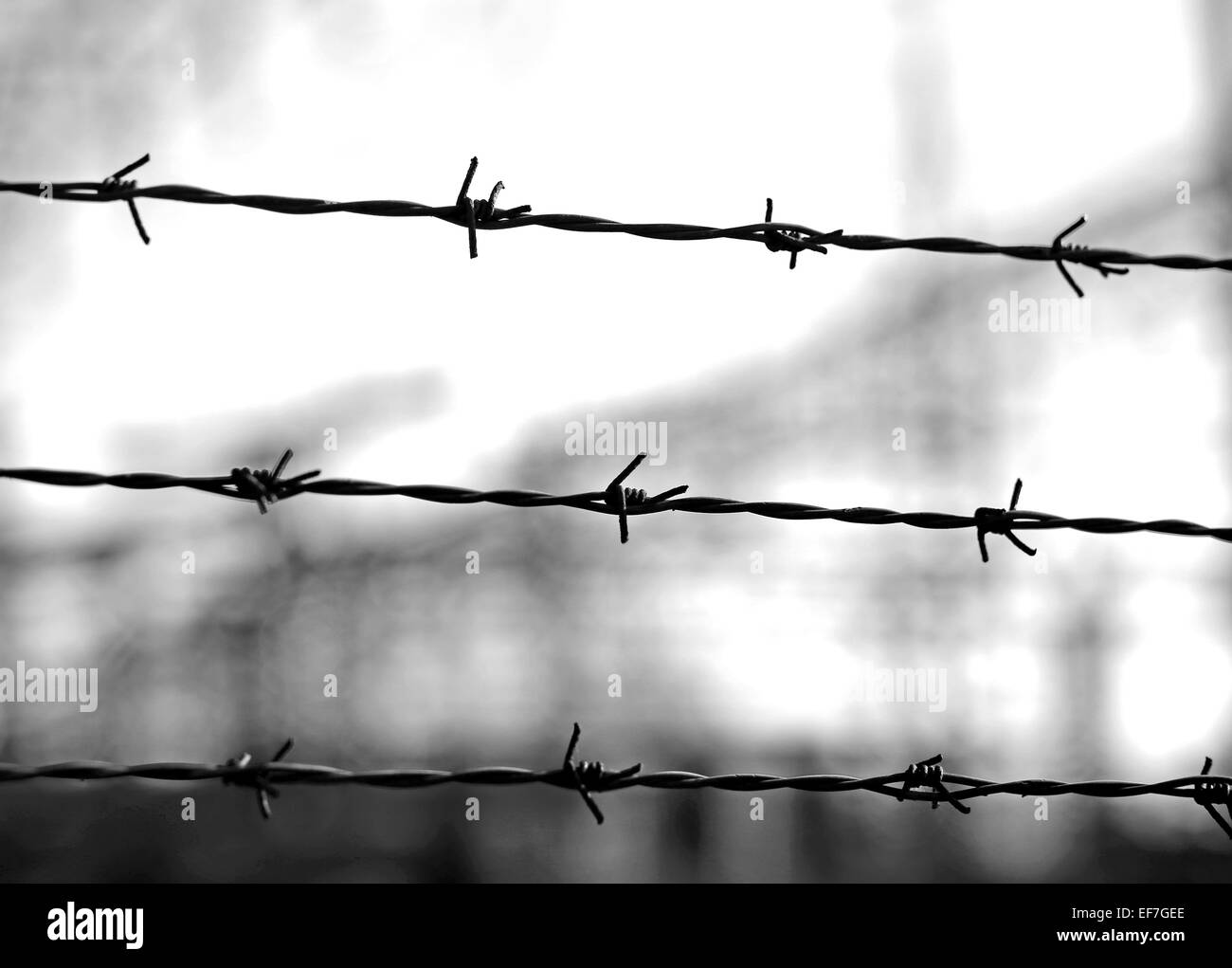 three lines of barbed wire to demarcate the border Stock Photo - Alamy