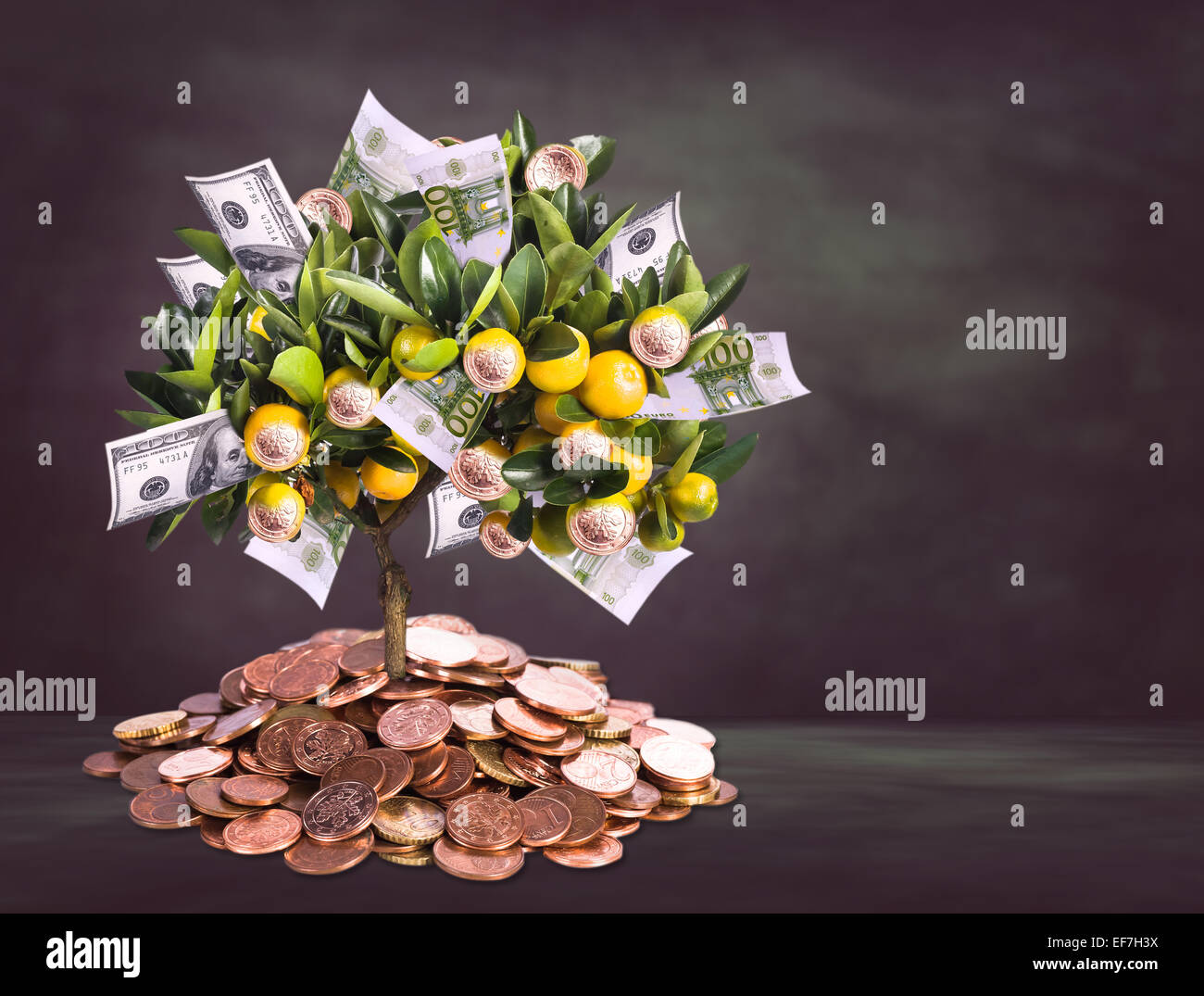 a symbolic picture for financial success and money savings Stock Photo ...