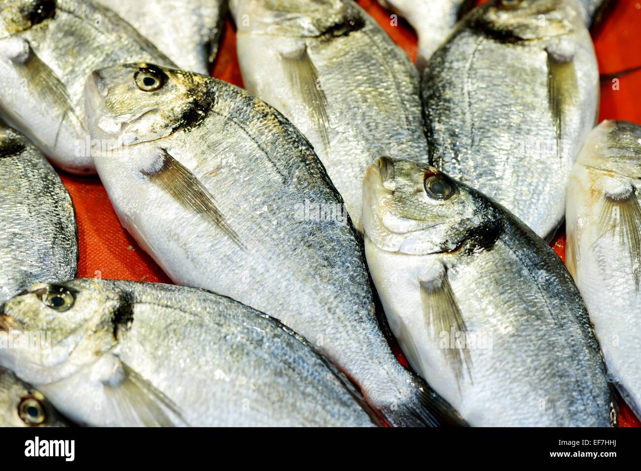 Fresh sea fish Stock Photo - Alamy