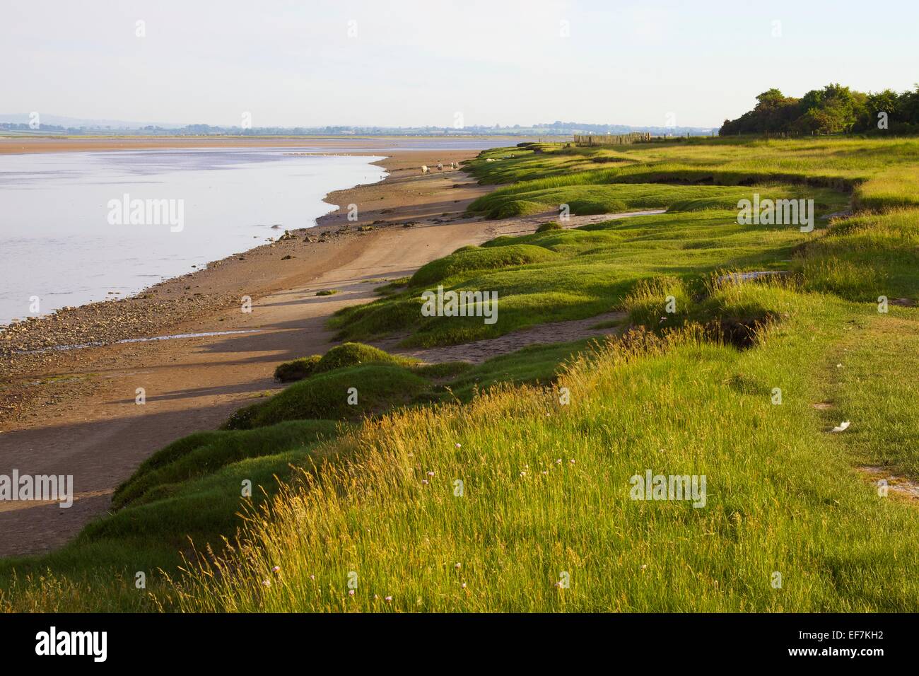 Coast line at Anthorn, Cumbria, England, UK Stock Photo - Alamy