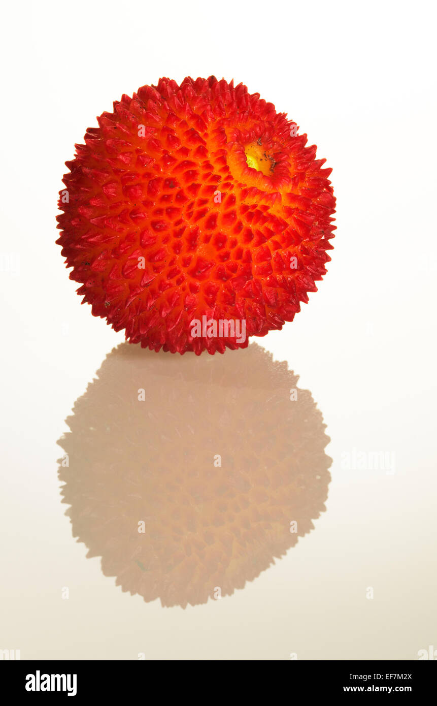 Red orange isolated hi-res stock photography and images - Alamy
