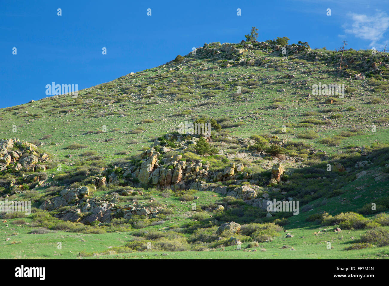 Rabbit Mountain, Rabbit Mountain Open Space, Boulder County, Colorado ...