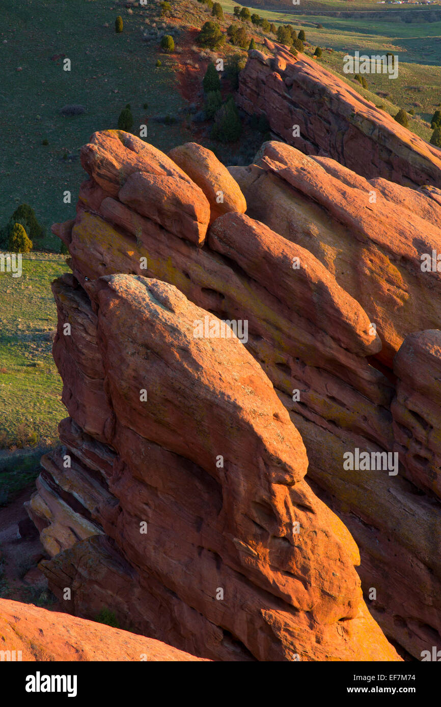 Red rocks outcrop, Red Rocks Park, Jefferson County, Colorado Stock ...