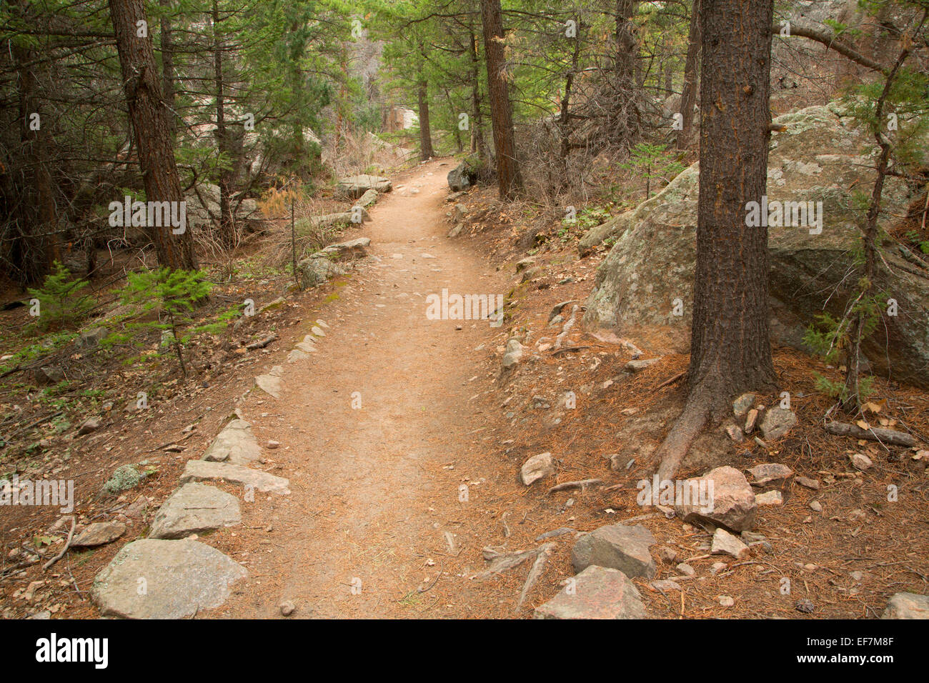 Fern Lake Trail, Rocky Mountain National Park, Colorado Stock Photo - Alamy