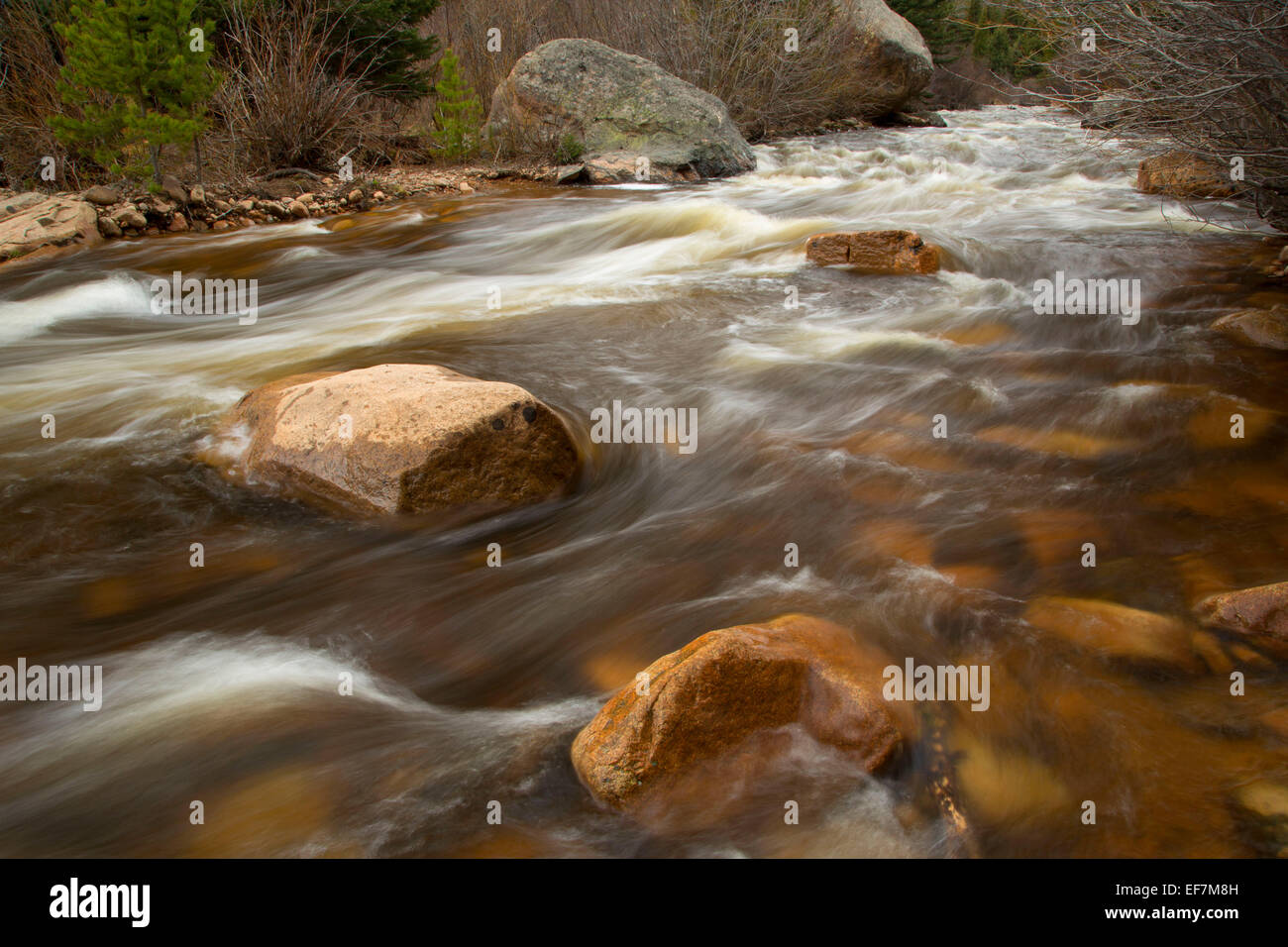 Big Thompson River along Fern Lake Trail, Rocky Mountain National Park ...