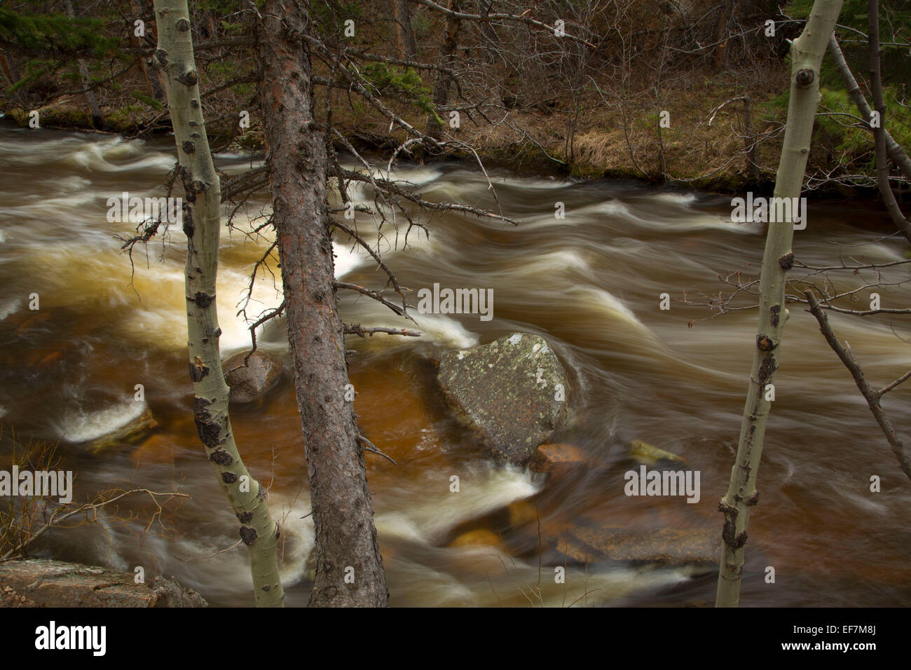 Big Thompson River along Fern Lake Trail, Rocky Mountain National Park ...