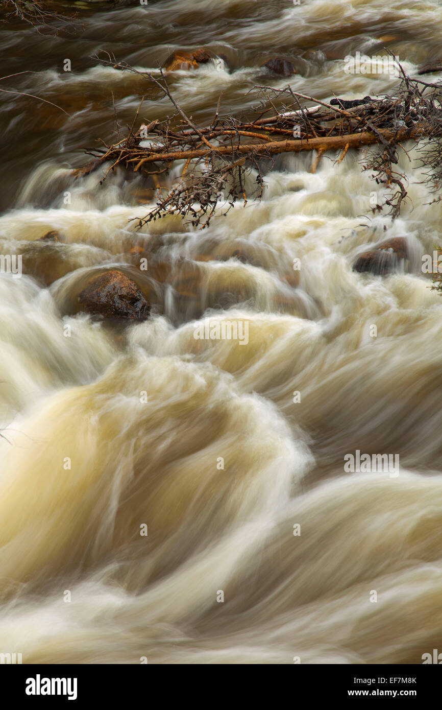 Big Thompson River along Fern Lake Trail, Rocky Mountain National Park ...