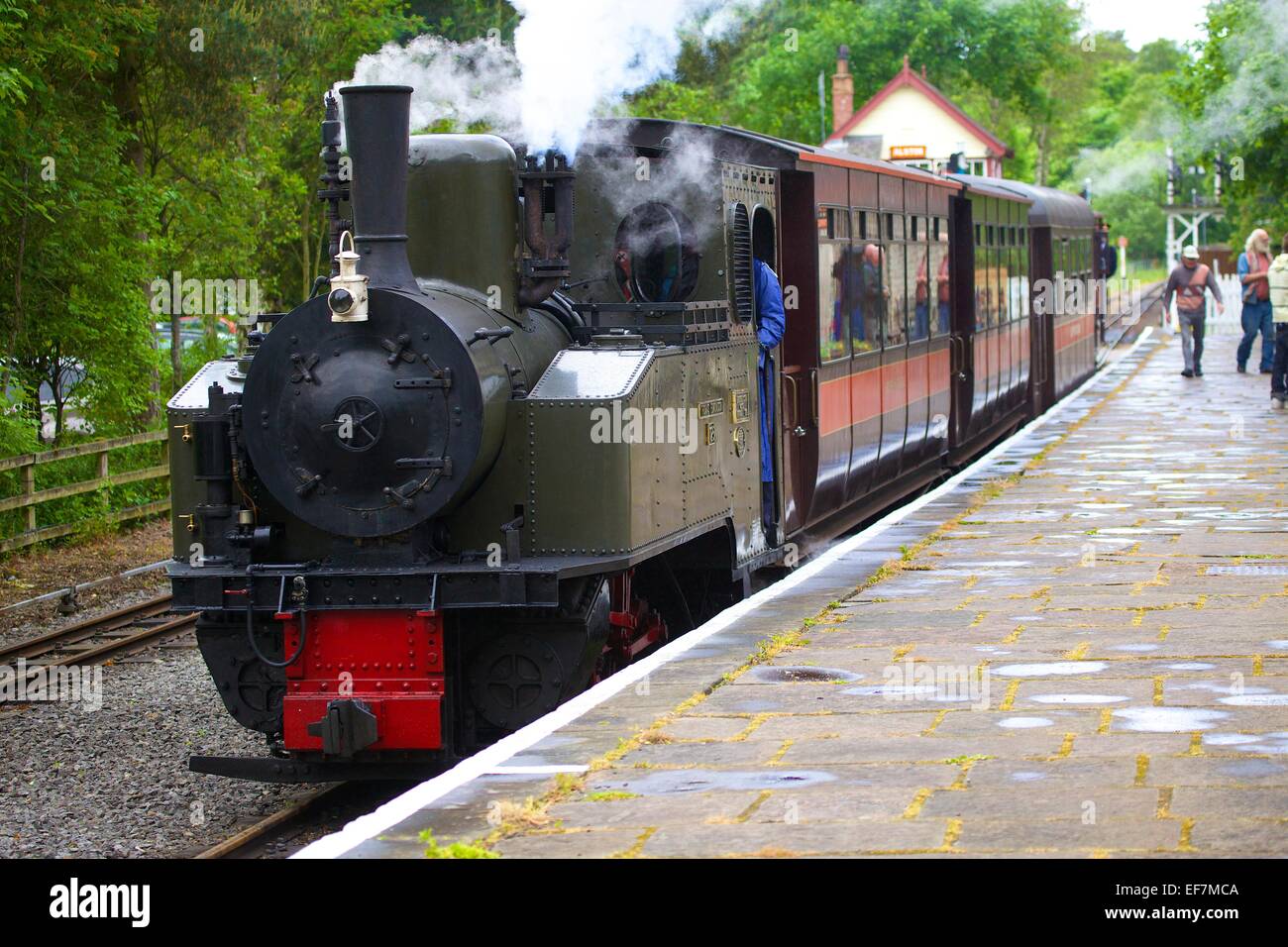 Steam locomotive “Thomas Edmondson” arriving at Alston Station on the ...