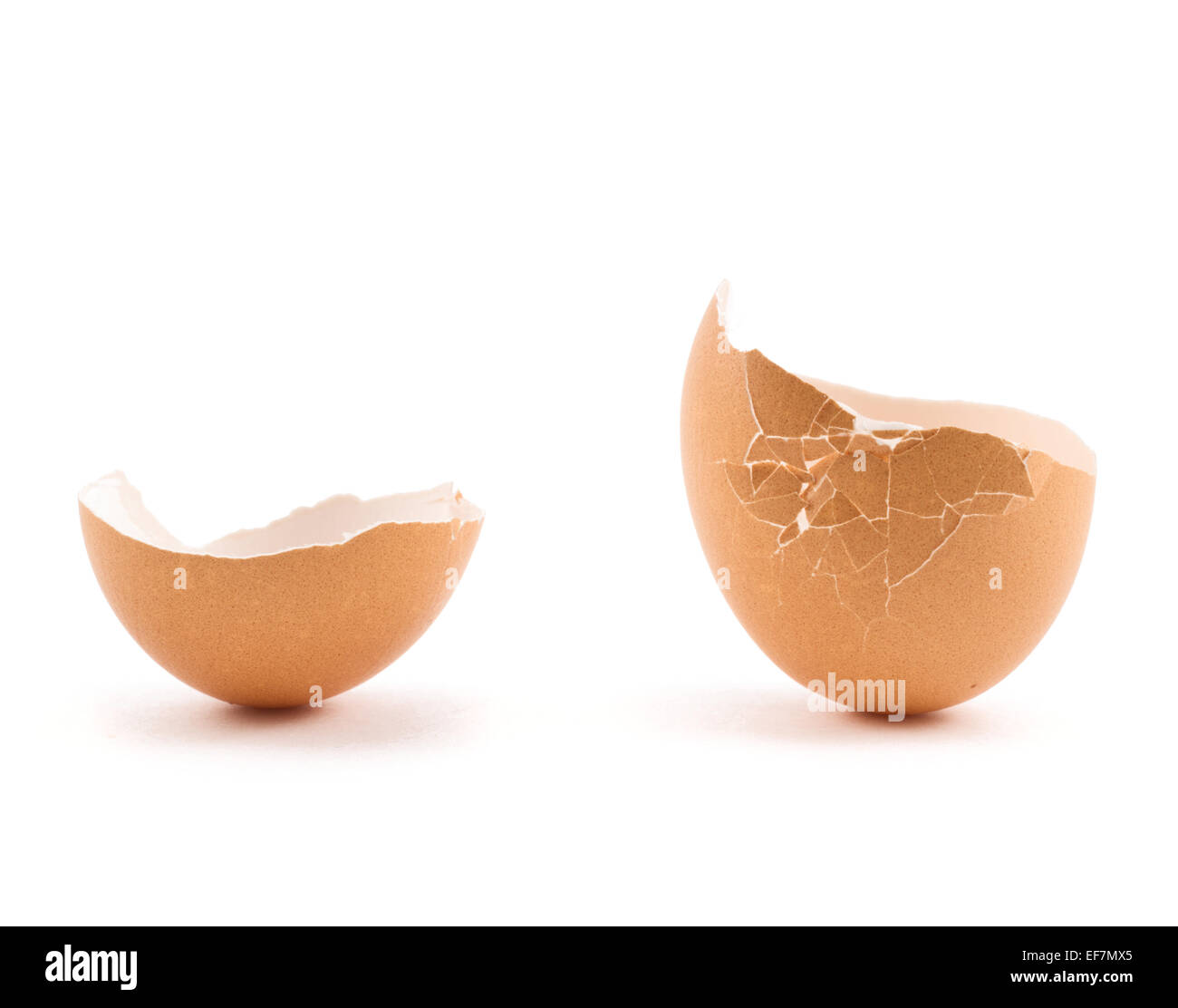 Egg shell cracked in two parts Stock Photo - Alamy