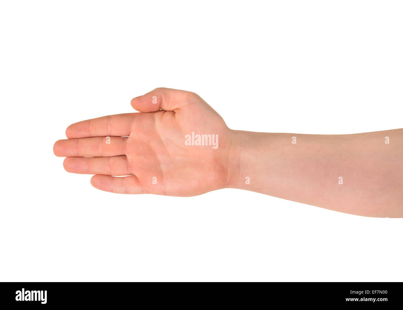 Opened hand palm gesture isolated Stock Photo - Alamy