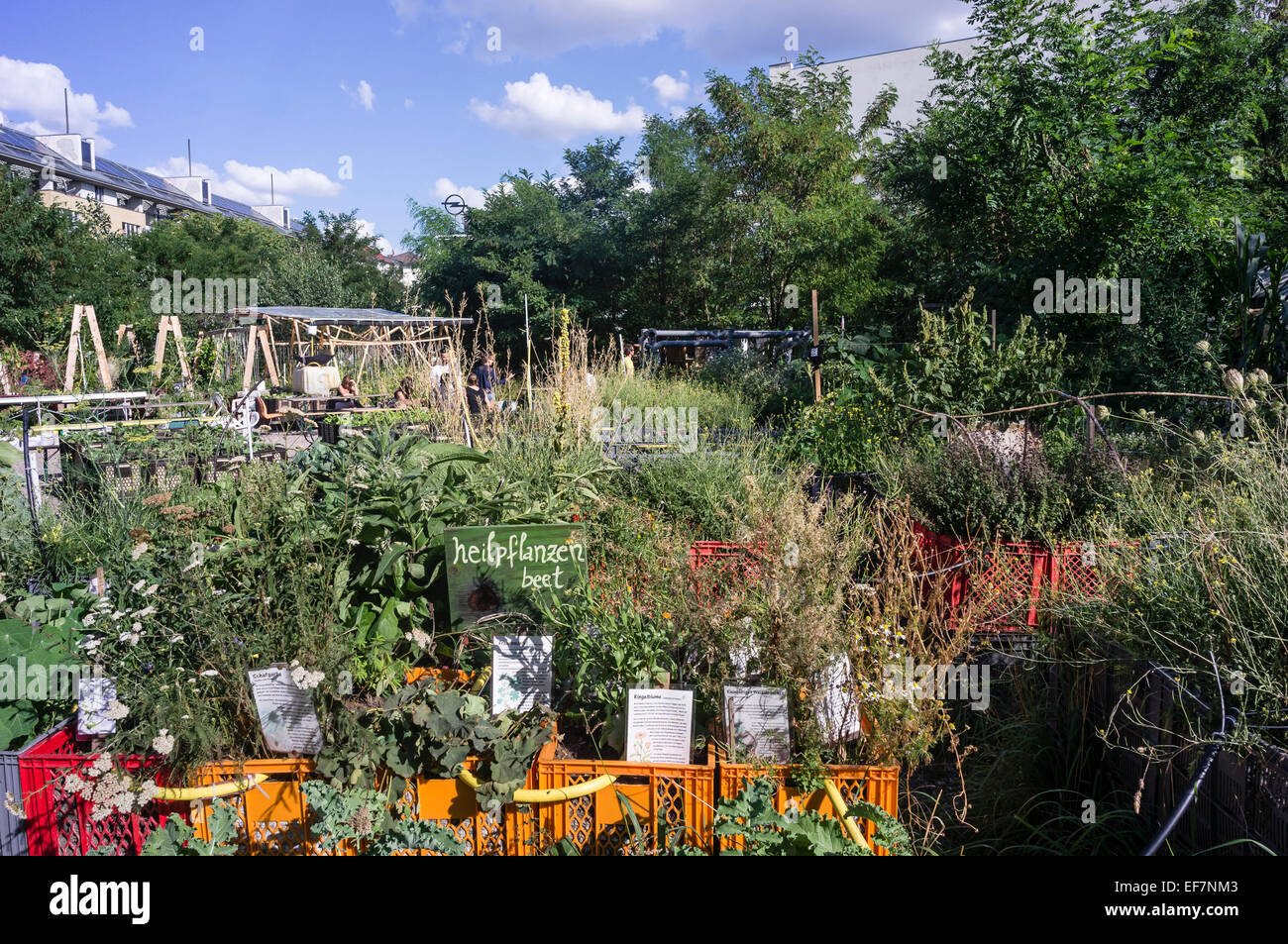 Princess Garden Kreuzberg Bio Gardening , Berlin, Germany Stock Photo ...