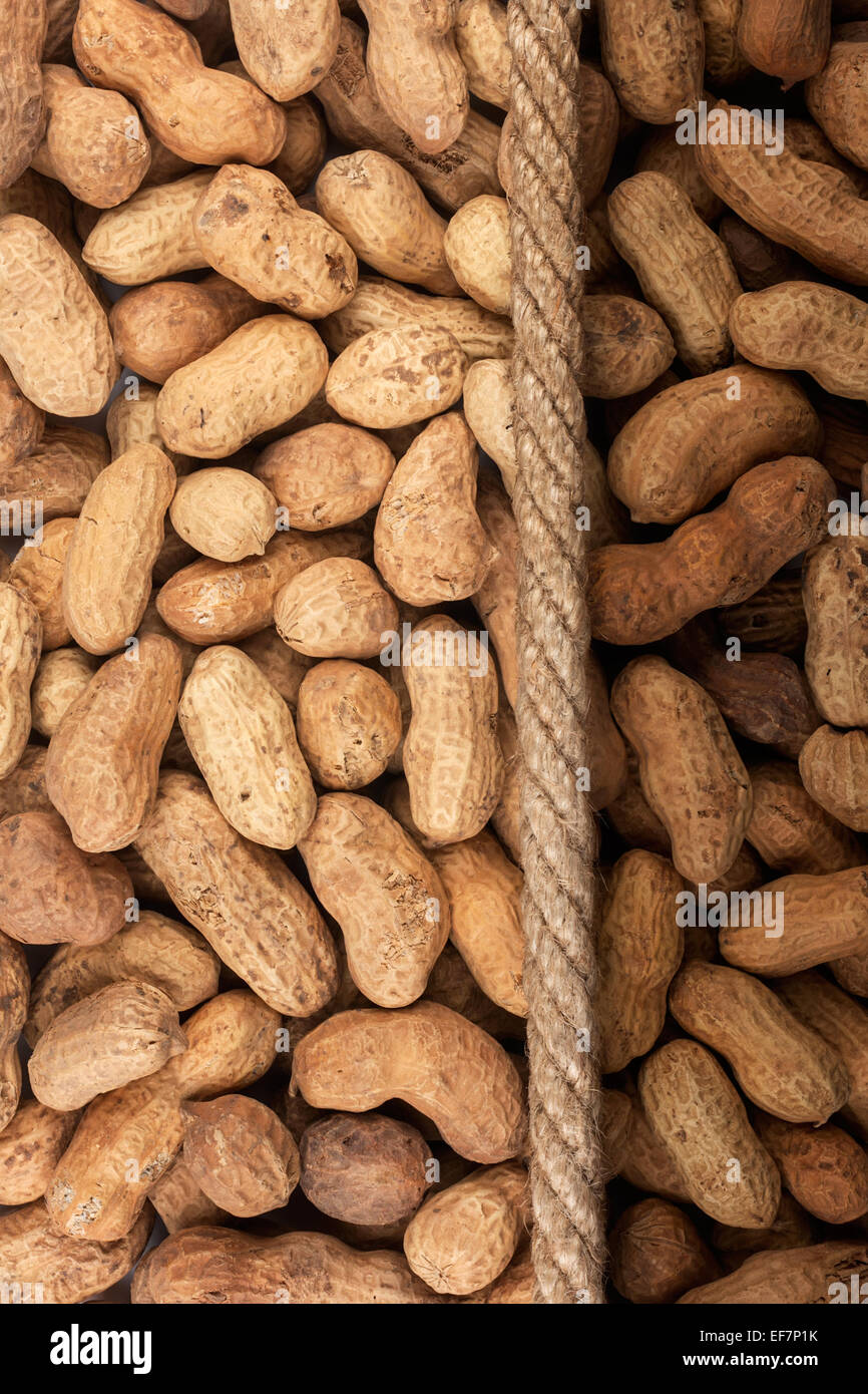 Illuminated and dark peanut and rope, for the menu Stock Photo - Alamy