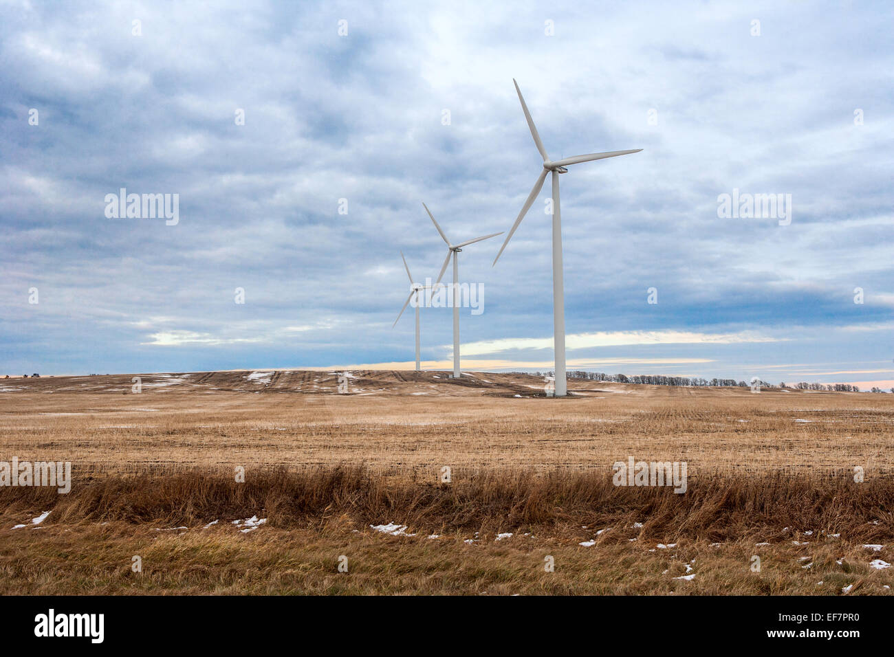 Wind turbines on the Canadian Prairies Stock Photo - Alamy