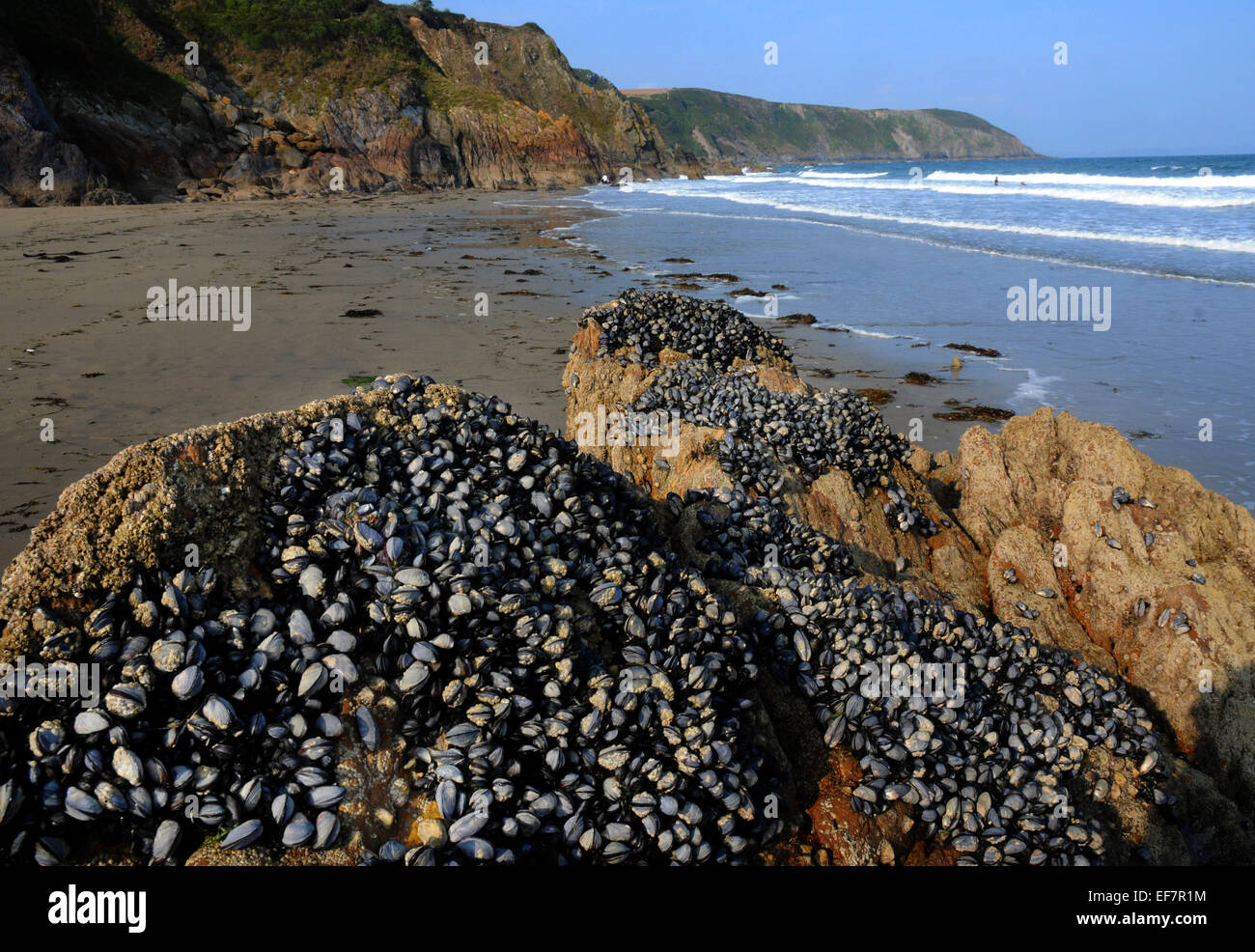 Mevagissey hi-res stock photography and images - Alamy