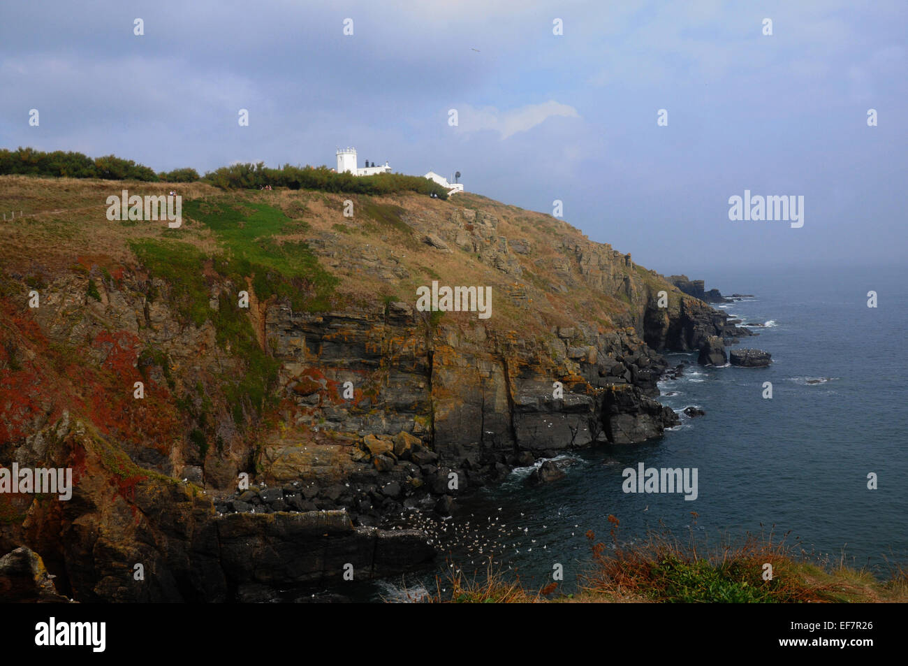 Lizard point lighthouse hi-res stock photography and images - Alamy