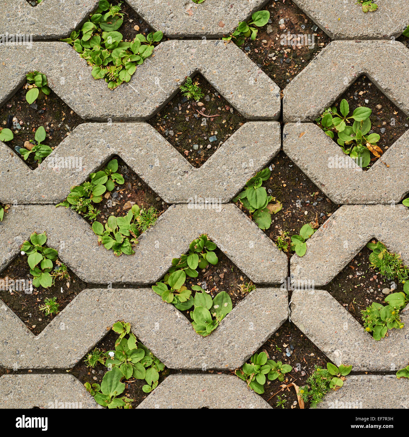 Park walk tiles floor hi-res stock photography and images - Alamy