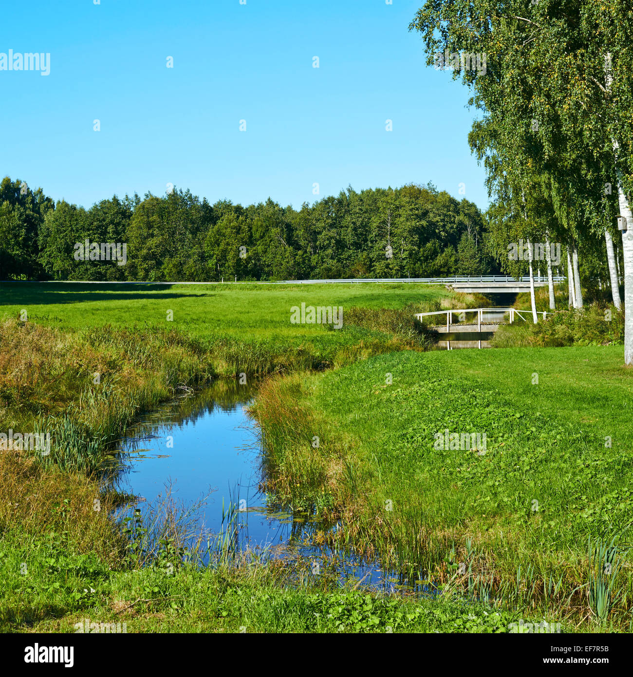 Estonian landscape hi-res stock photography and images - Alamy