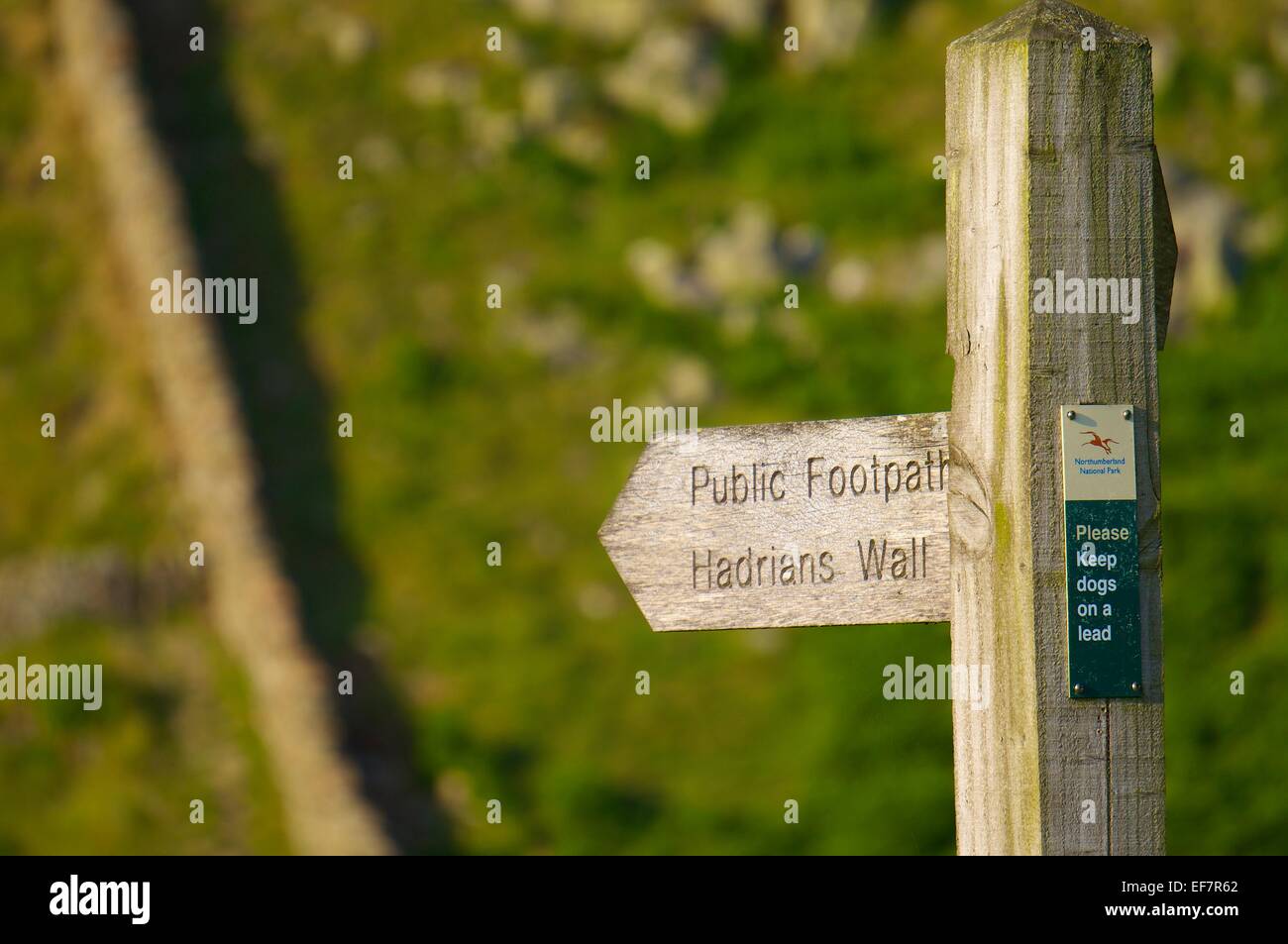 Finger post sign hi-res stock photography and images - Alamy
