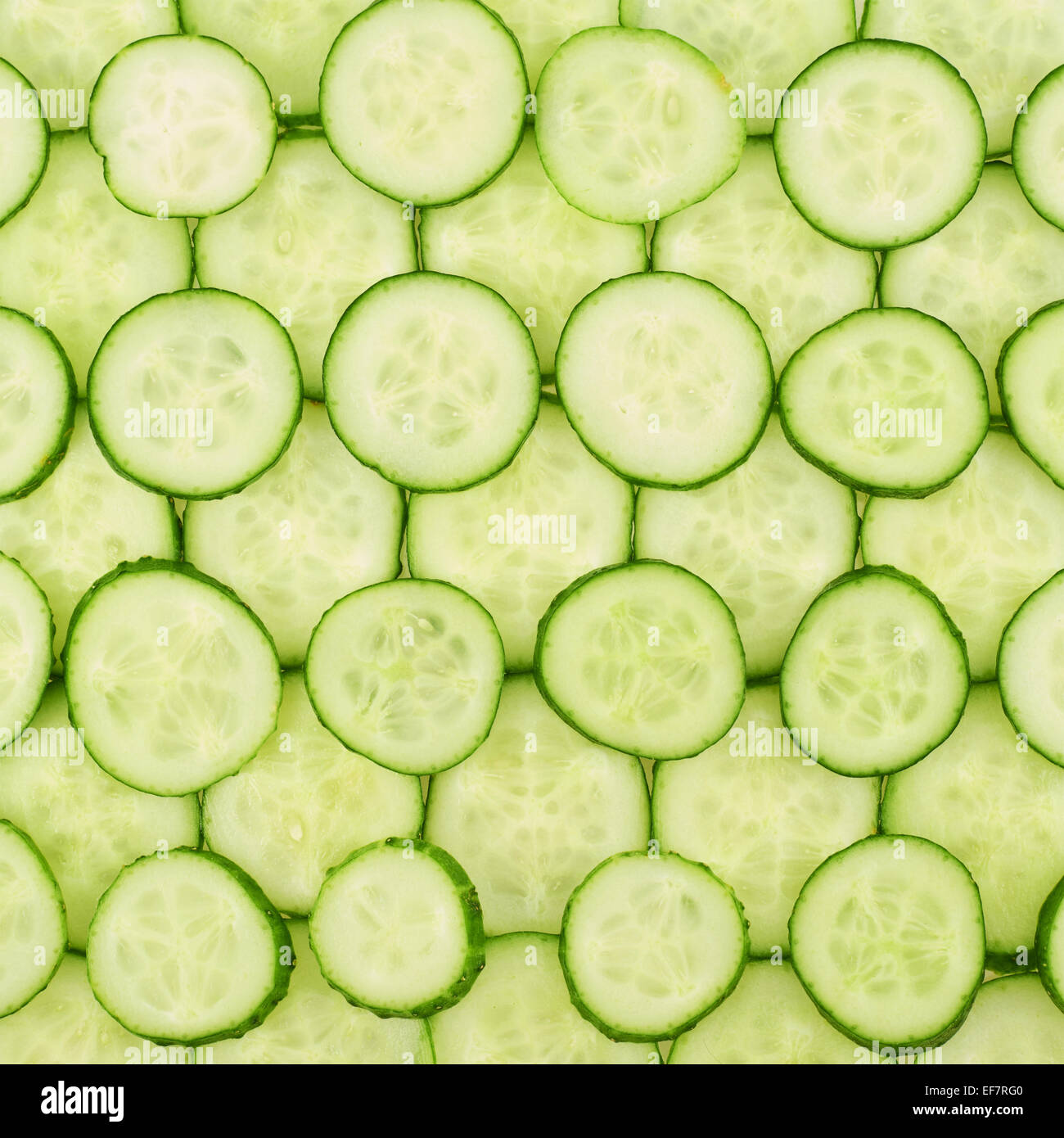 Cucumber plant pattern hi-res stock photography and images - Alamy