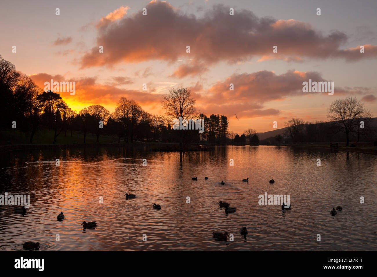 Sunrise over Cyfarthfa Park Lake Stock Photo - Alamy