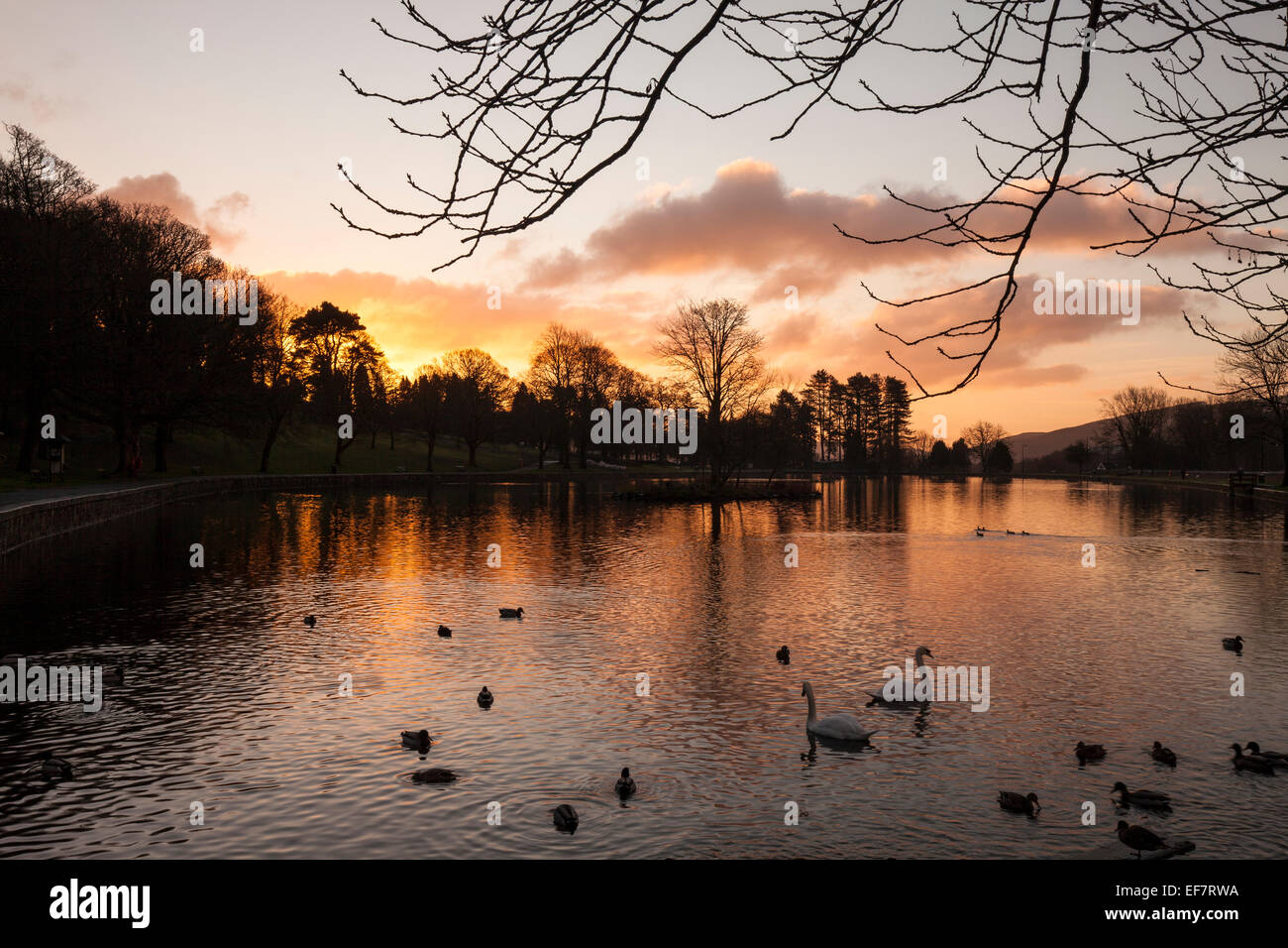 Sunrise over Cyfarthfa Park Lake Stock Photo - Alamy