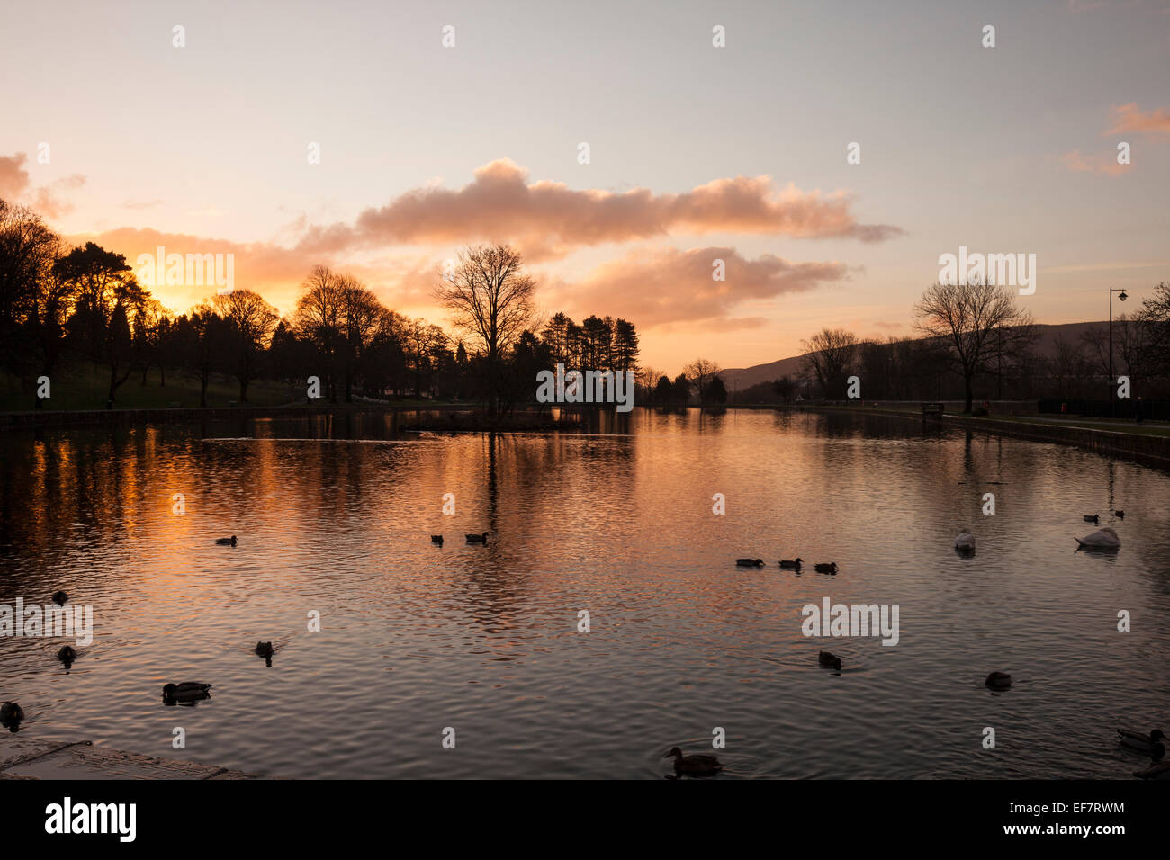 Cyfarthfa park lake hi-res stock photography and images - Alamy