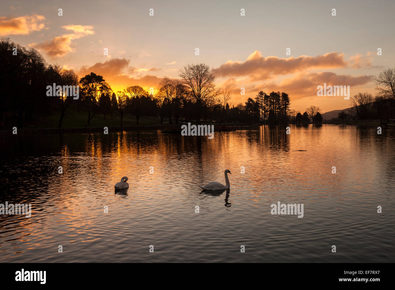Sunrise over Cyfarthfa Park Lake Stock Photo - Alamy