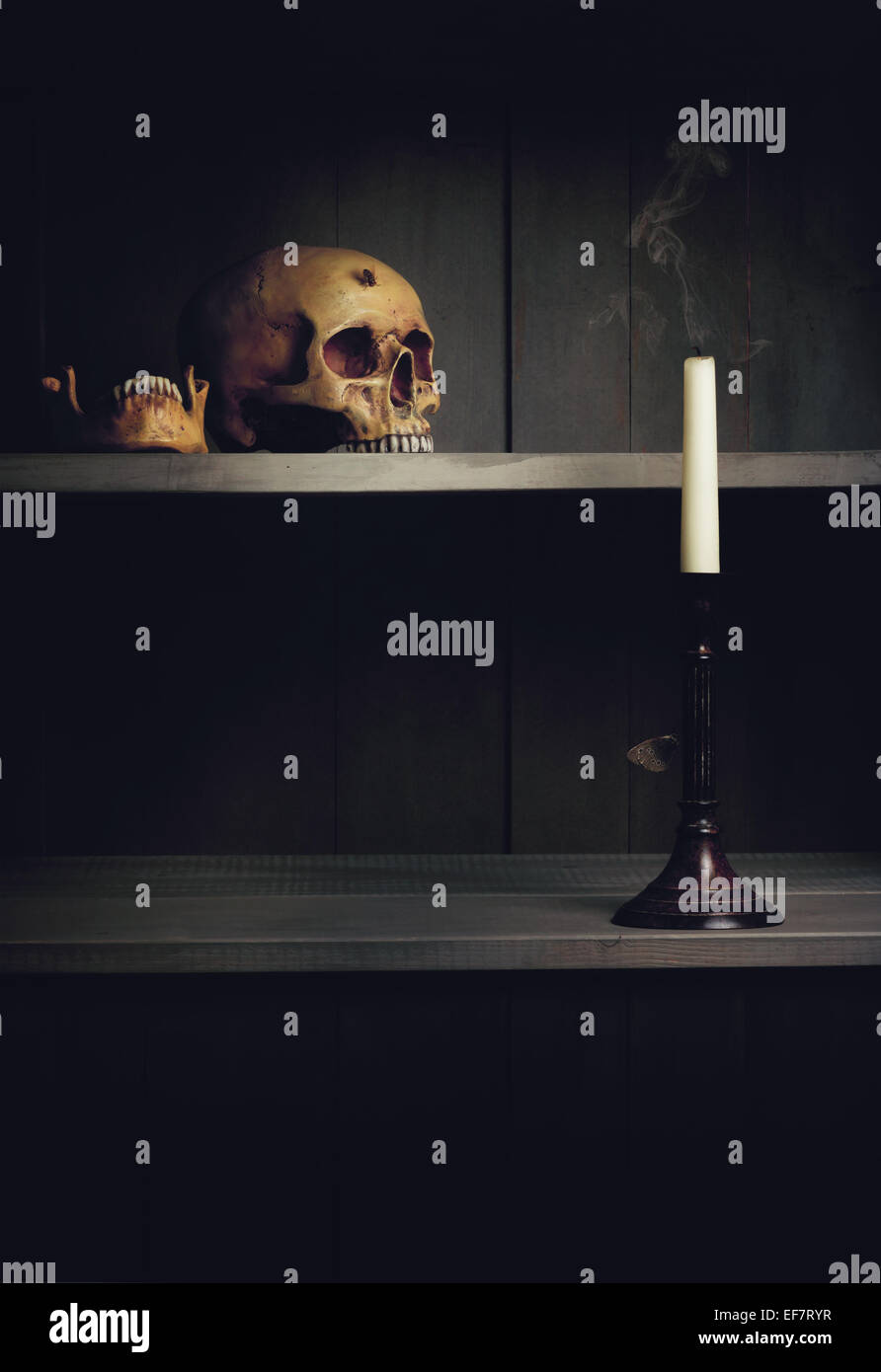 Vanitas Still Life, death & resurrection Stock Photo - Alamy