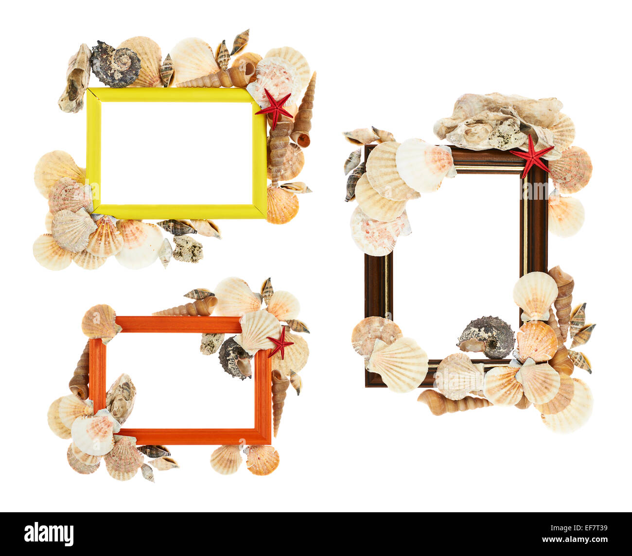 Empty frame decorated with seashells Stock Photo - Alamy