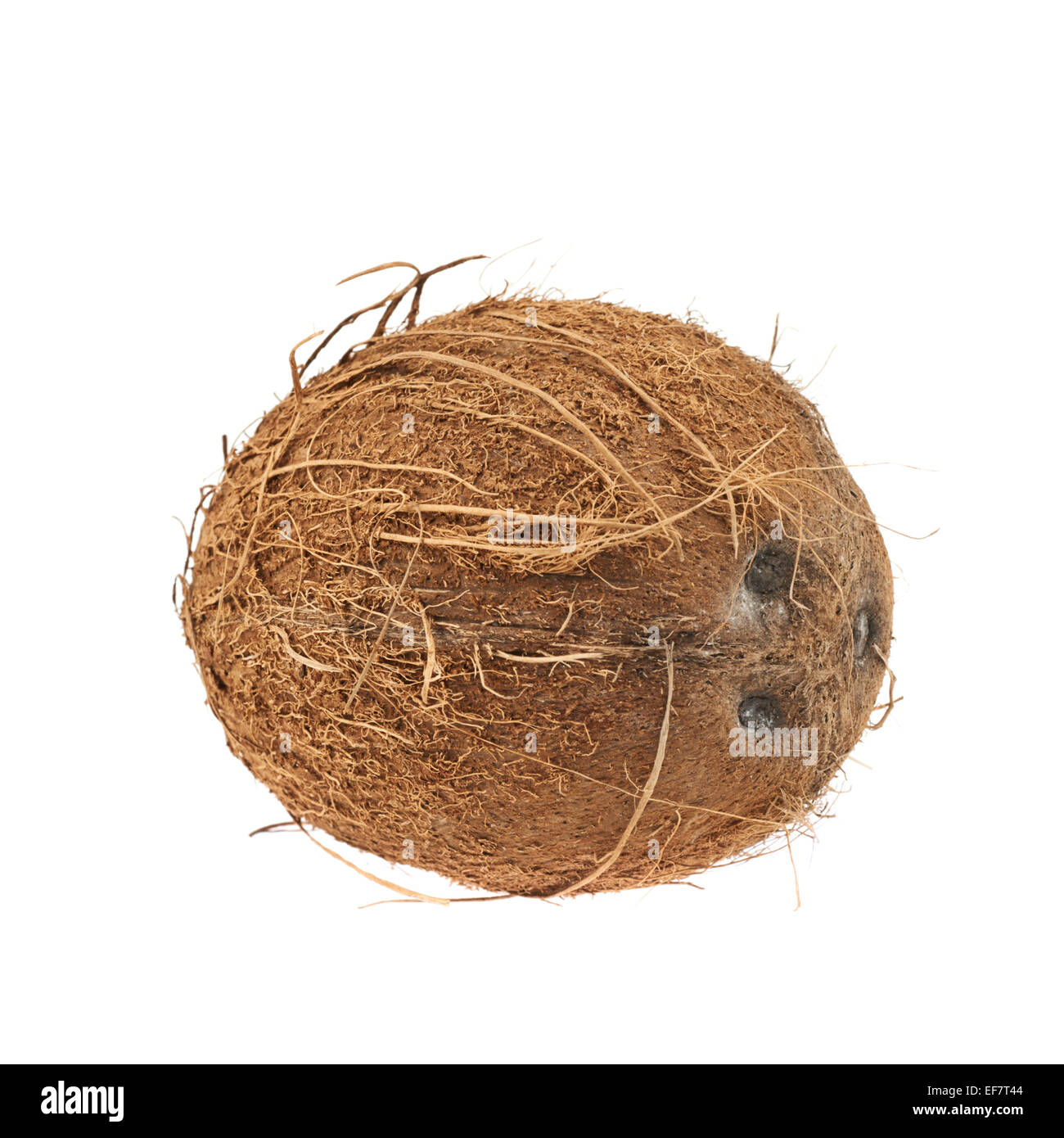 Whole coconut fruit isolated Stock Photo - Alamy