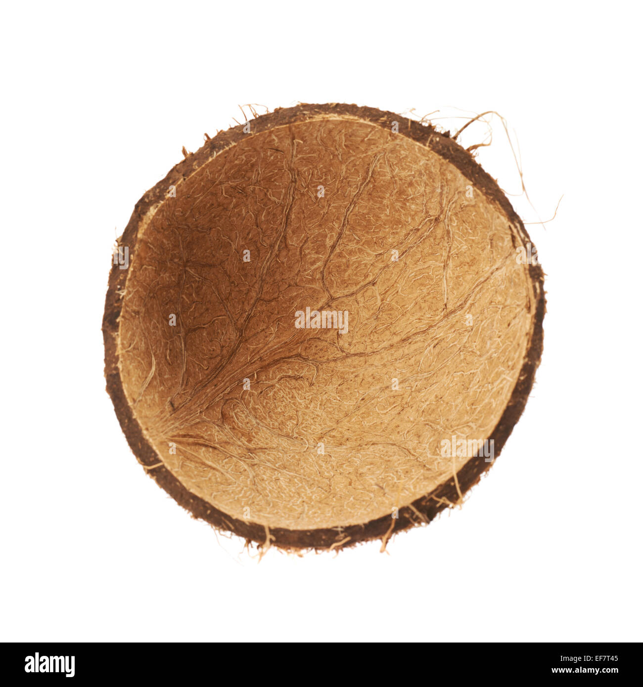 Coconut fruit shell cut in half Stock Photo - Alamy