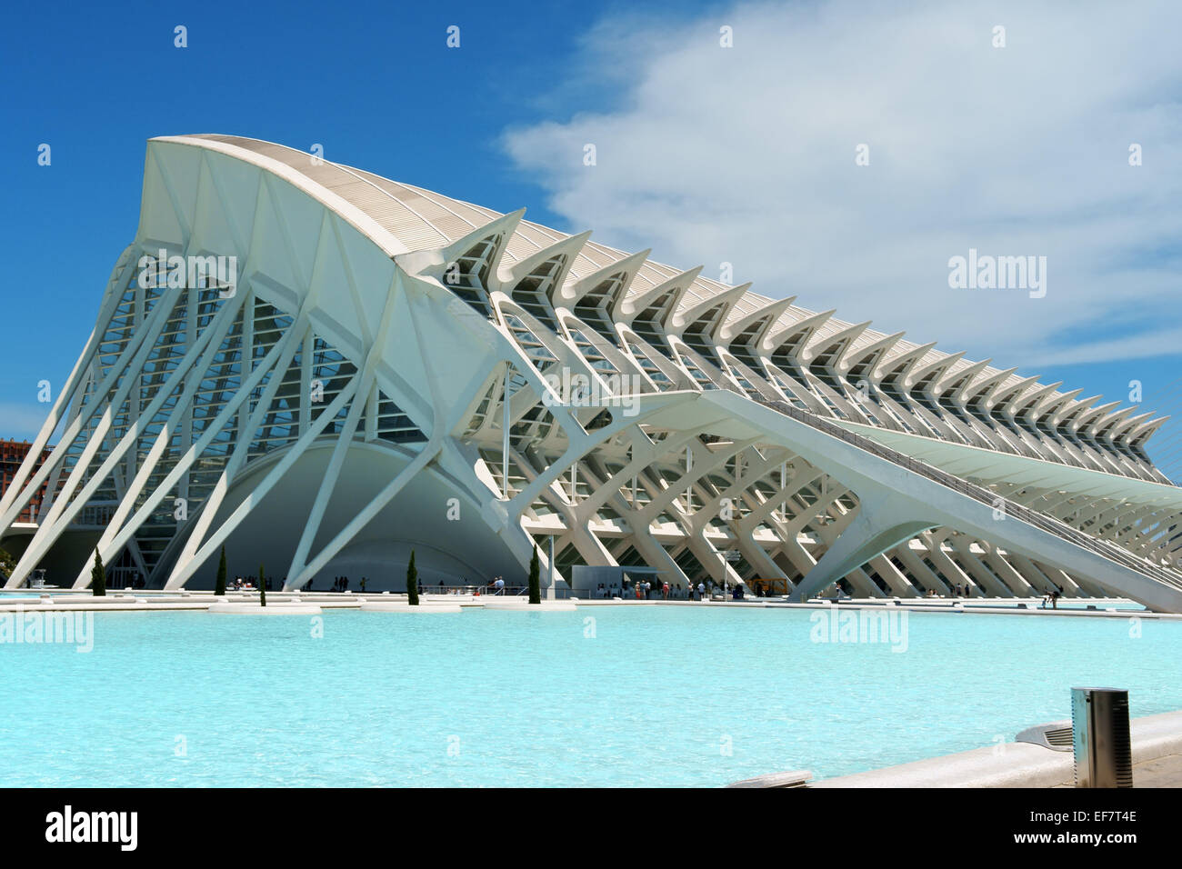 Valencia museum of sciences hi-res stock photography and images - Alamy