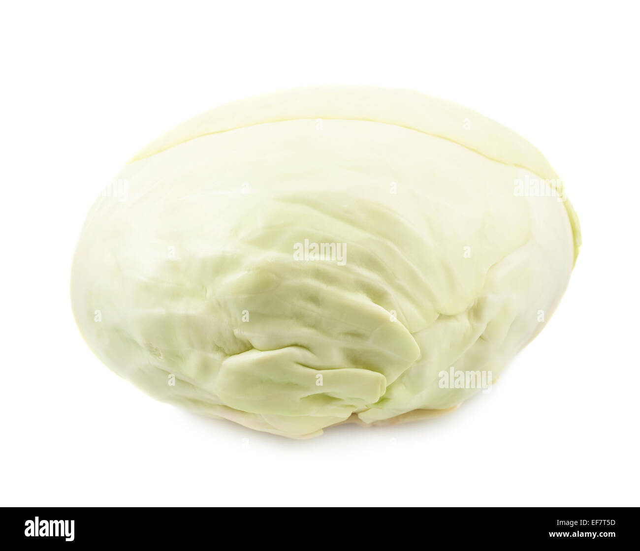 White cabbage isolated Stock Photo - Alamy