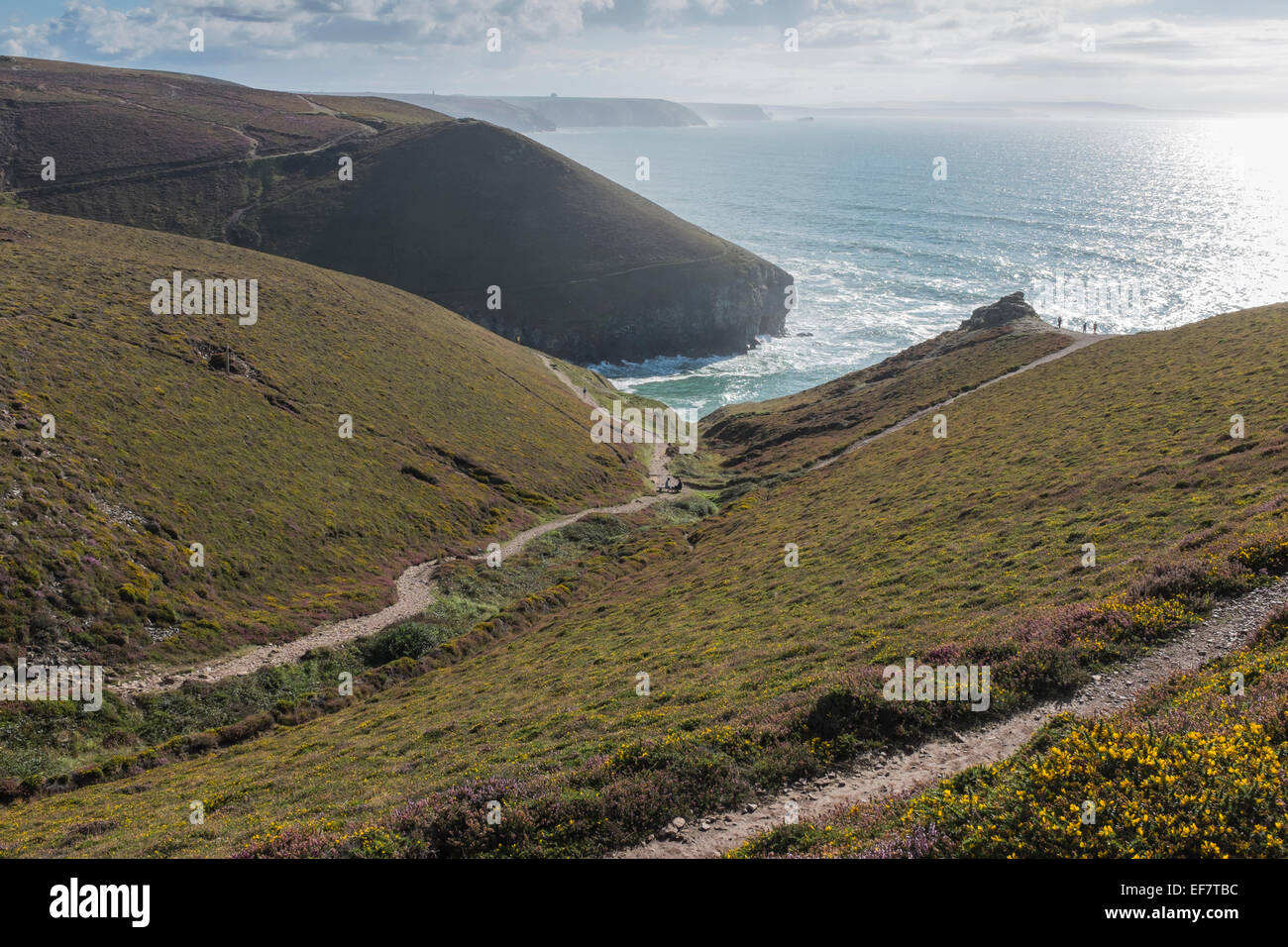 Scenic coastal footpaths on the north Cornwall coast, near the village ...