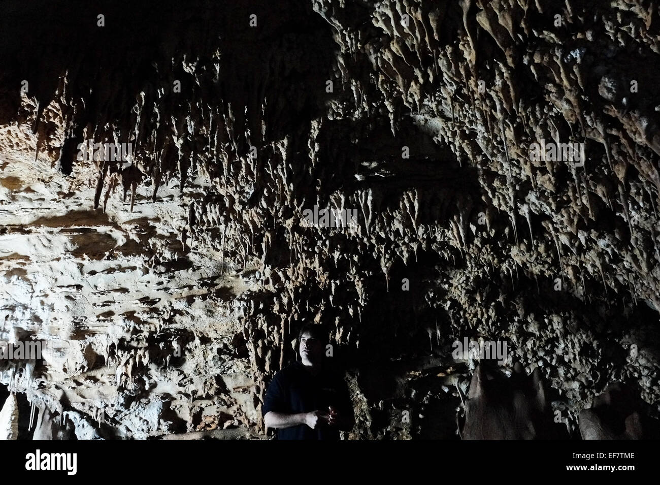 Dr nir barzilai hi-res stock photography and images - Alamy