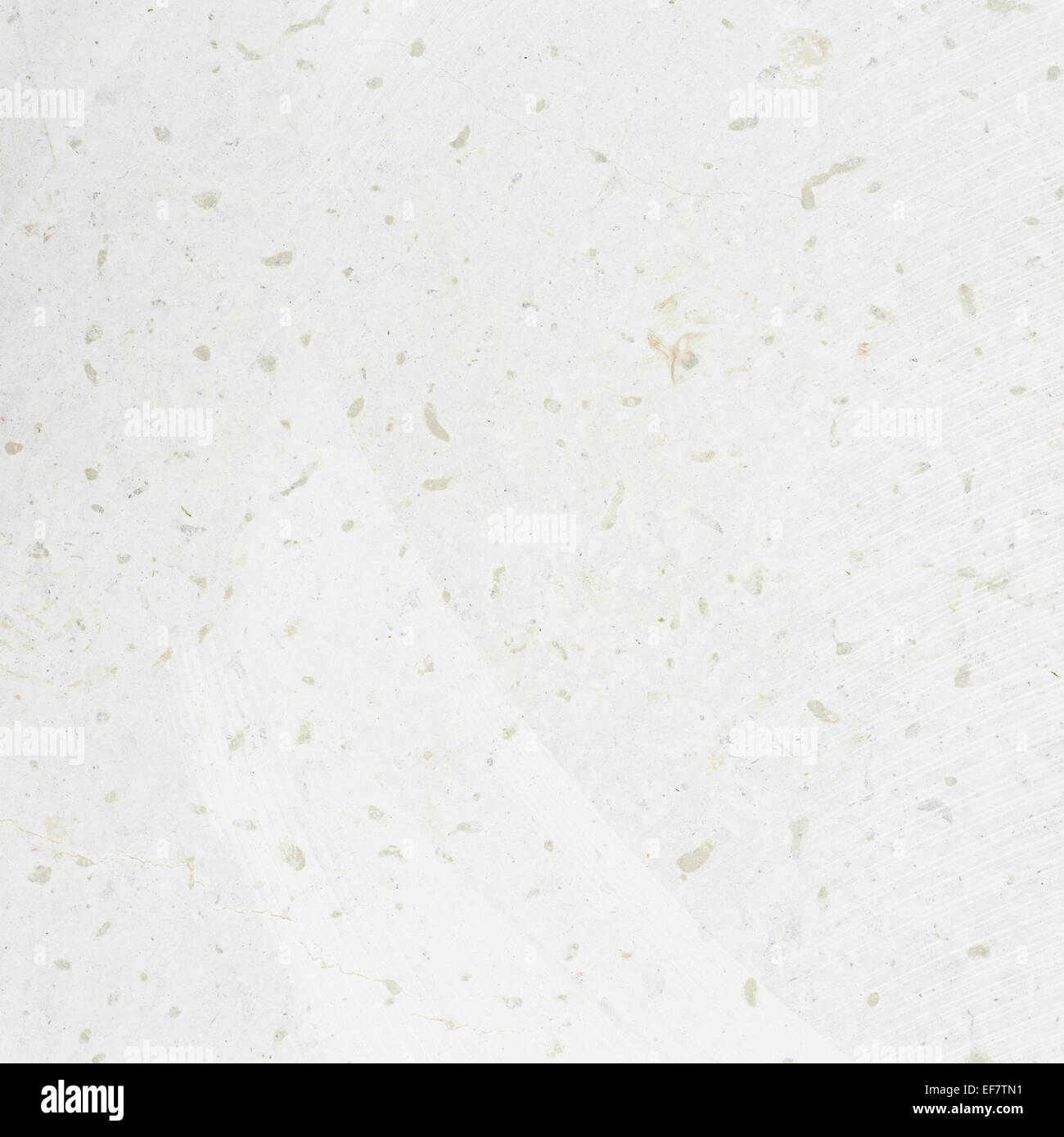 Polished limestone fragment Stock Photo - Alamy