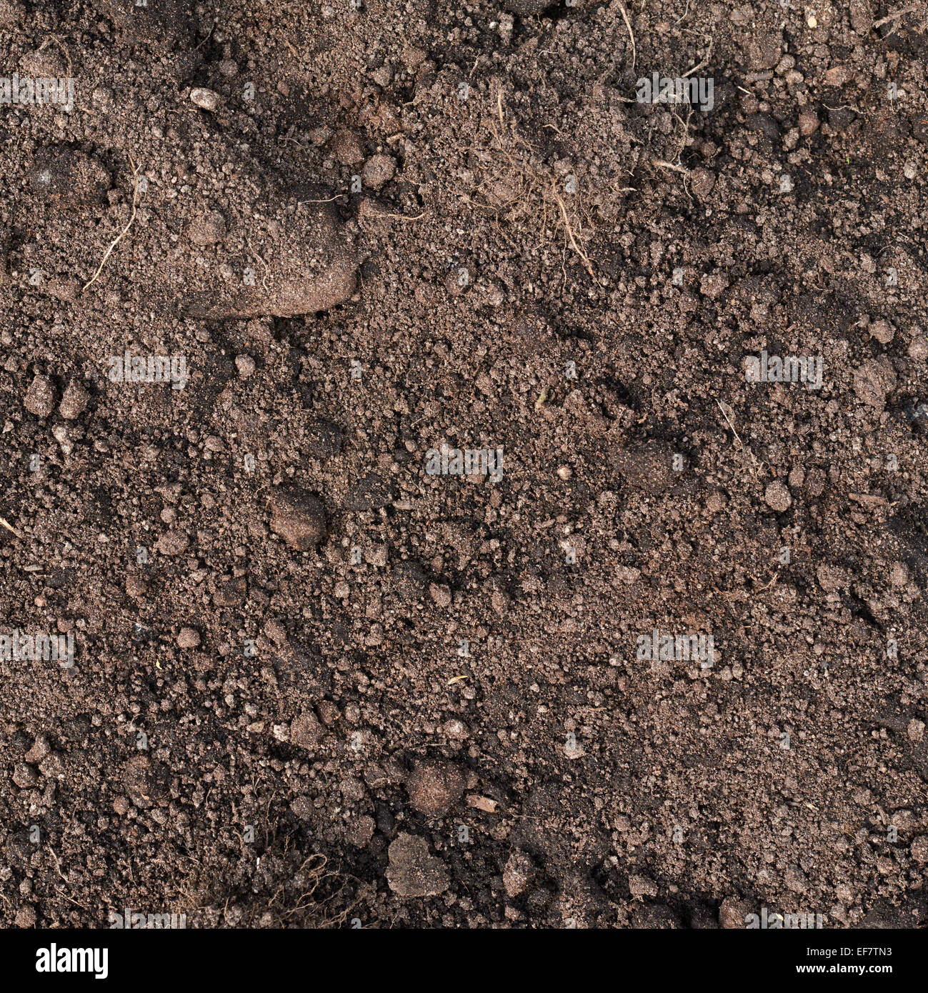 Fragment of an earth soil texture Stock Photo - Alamy