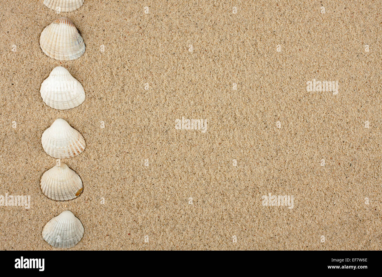 Sea shells, background, can be used to cover design Stock Photo - Alamy