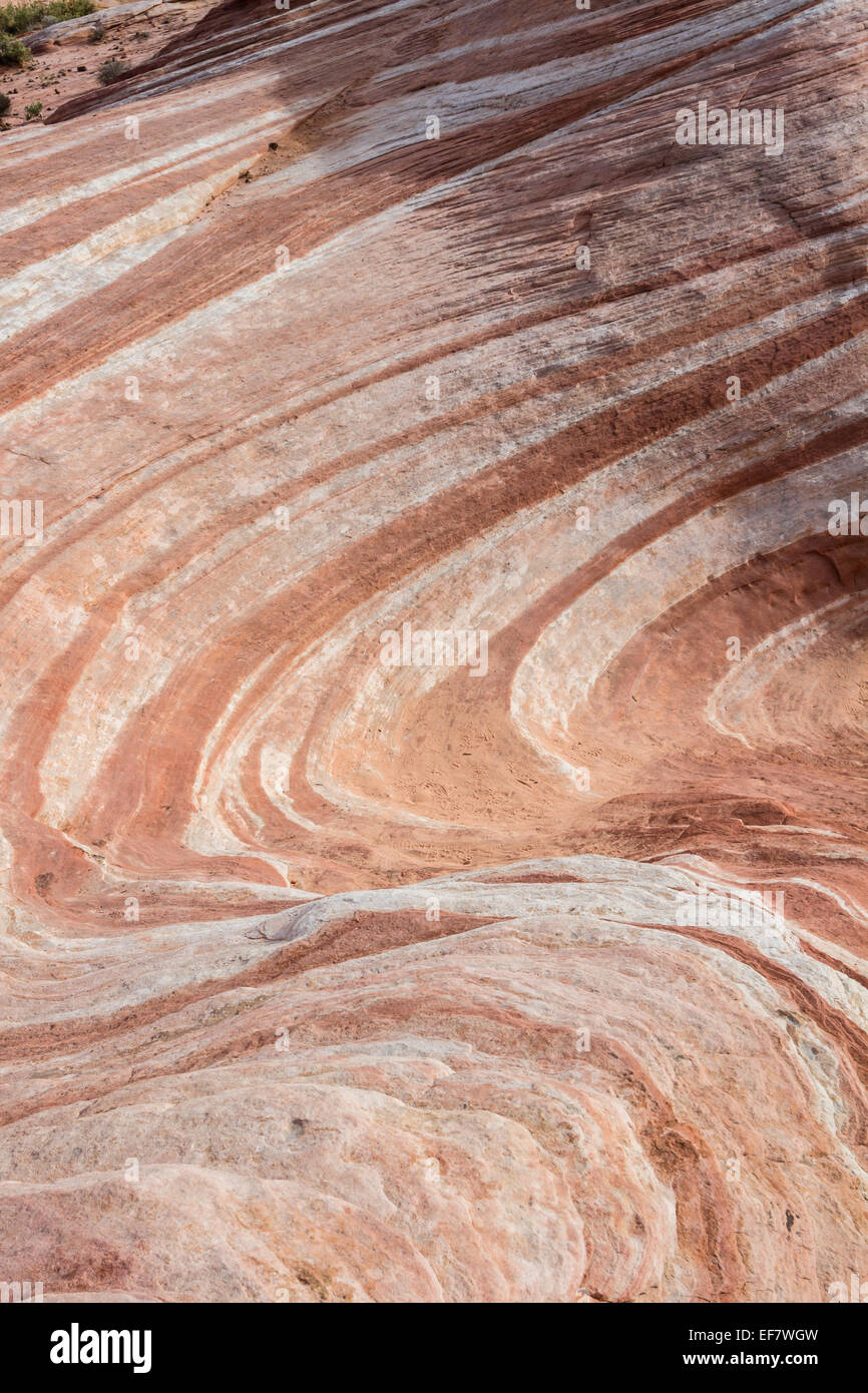layers of eroded sandstone fin the desert of Nevada. Valley of Fire ...