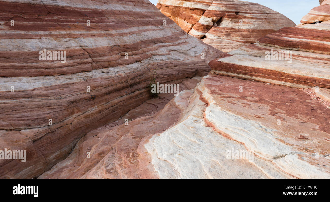layers of eroded sandstone fin the desert of Nevada. Valley of Fire ...