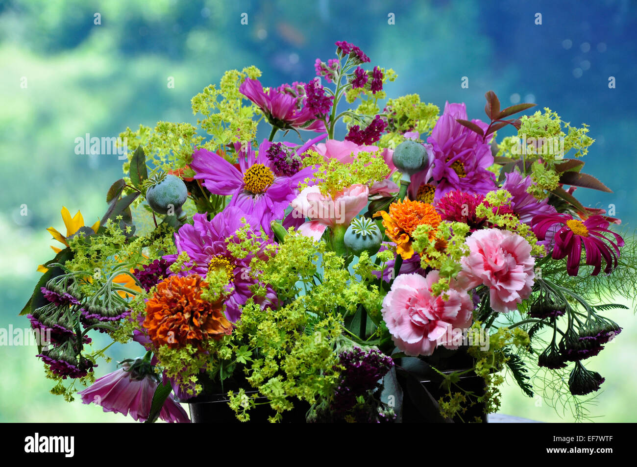 Cut flowers from garden hi-res stock photography and images - Alamy