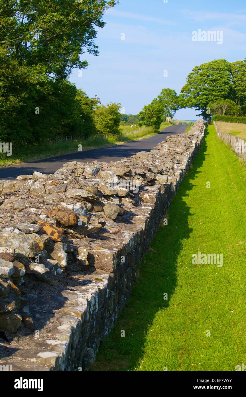 Roman Wall remains of. Birdoswald on Hadrian's Wall, World Heritage ...