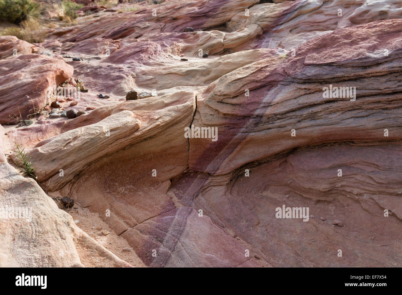 layers of eroded sandstone fin the desert of Nevada. Valley of Fire ...