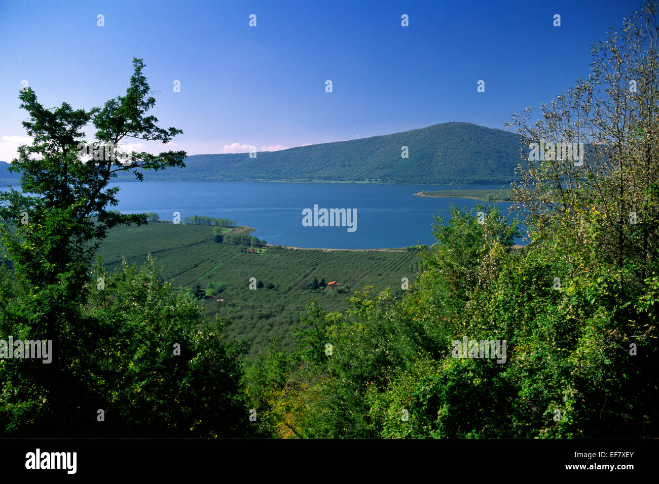 Lake vico natural reserve hi-res stock photography and images - Alamy