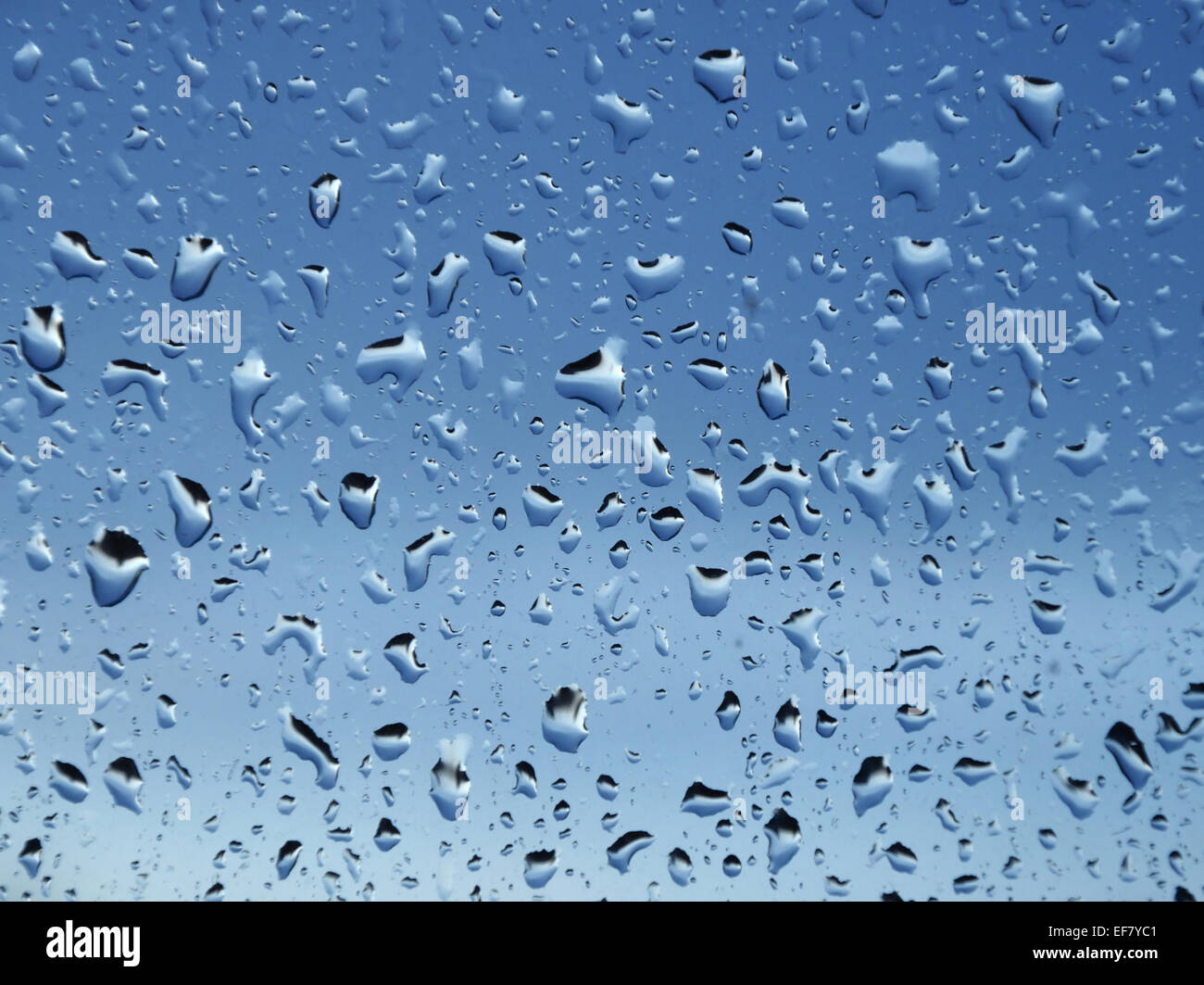 spots of rain on the window glass Stock Photo - Alamy