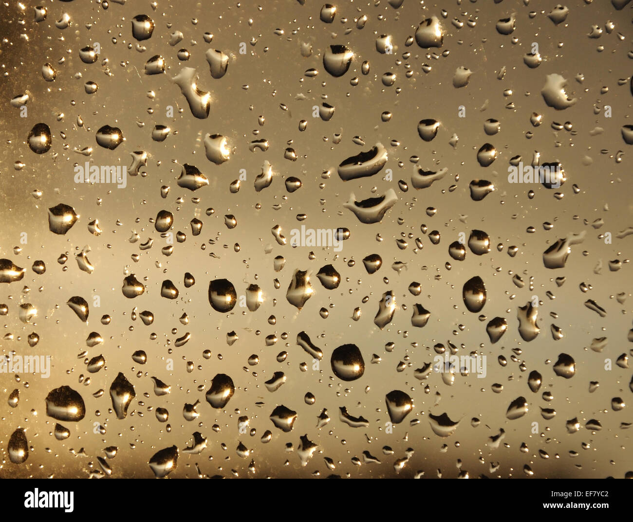 spots of rain on the window glass Stock Photo - Alamy
