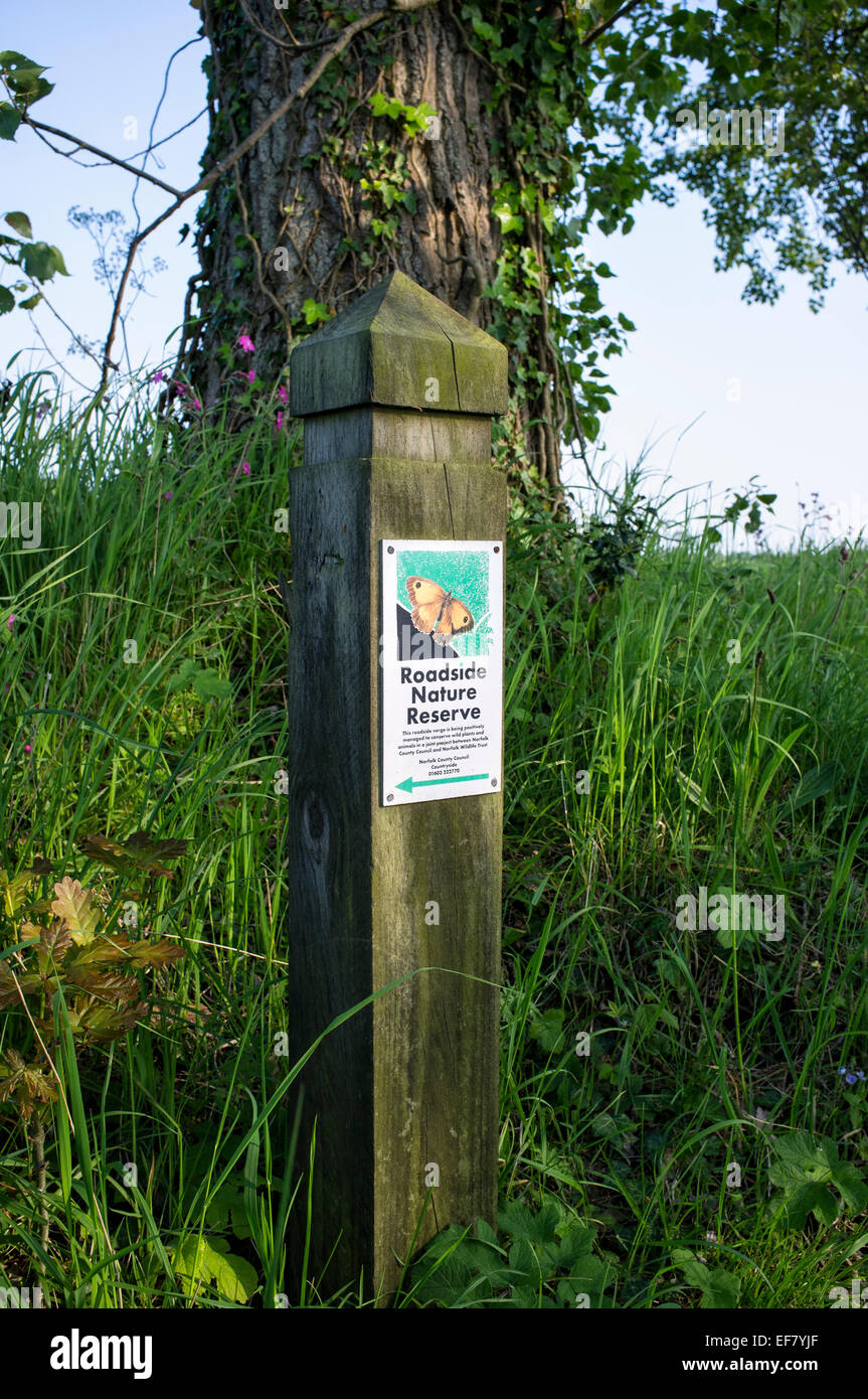 Roadside nature reserve hi-res stock photography and images - Alamy