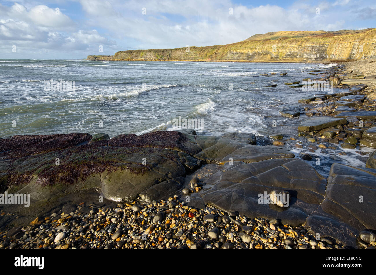 Kimmeridge Bay, Jurassic Coast, Dorset Stock Photo - Alamy