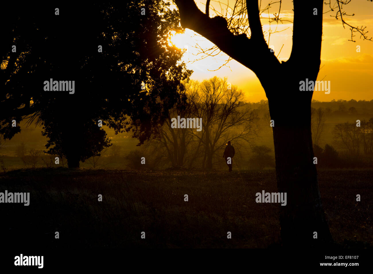 Man birdwatcher hi-res stock photography and images - Alamy