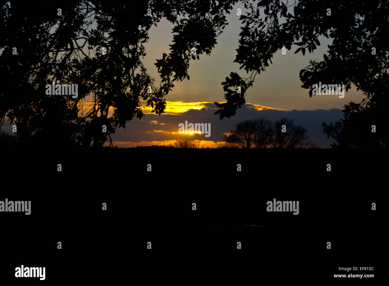 Sunset through trees hi-res stock photography and images - Alamy